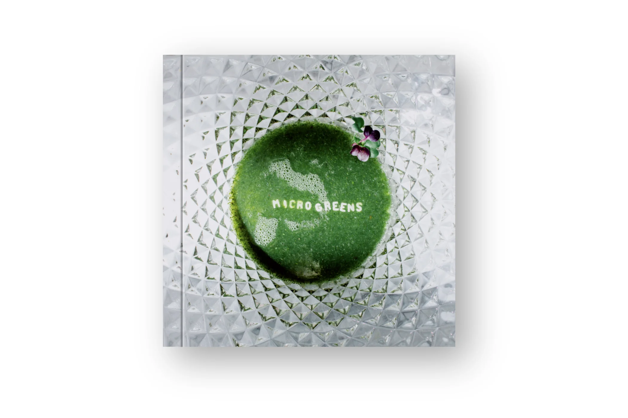 THW Mother | The Happiness Web